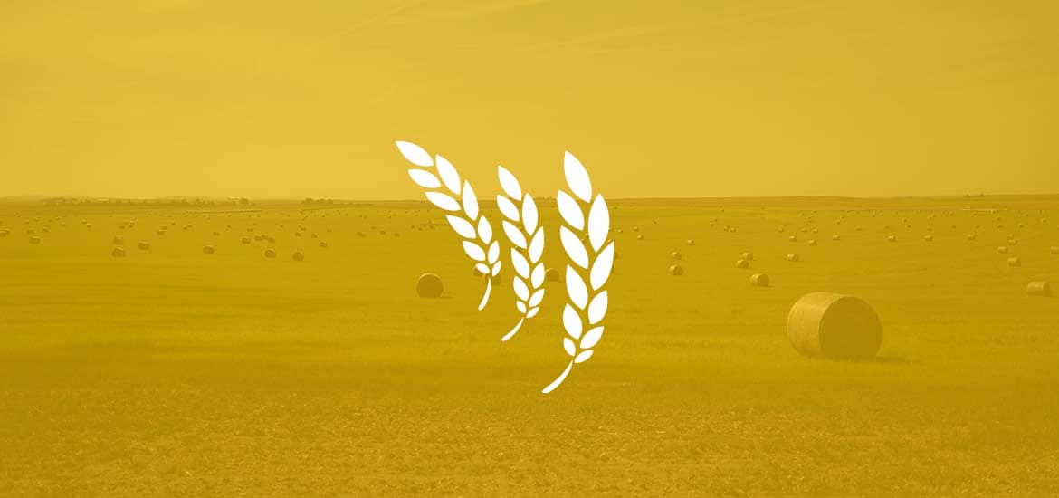 Simplot SmartFarm® is precision ag tech for informed decision-making on ...