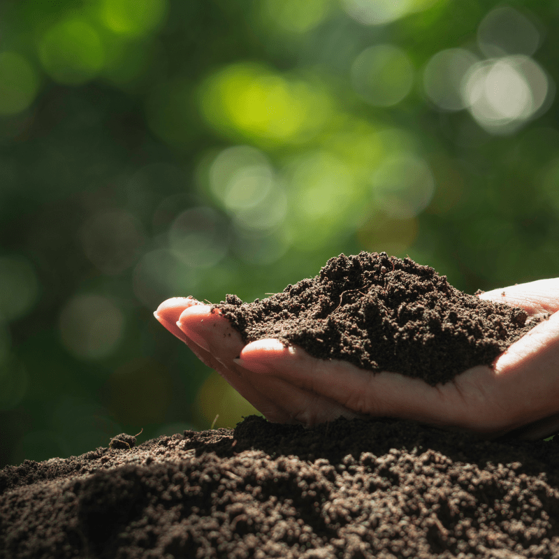 Understanding Soil pH and Liming Understanding Soil pH and Liming