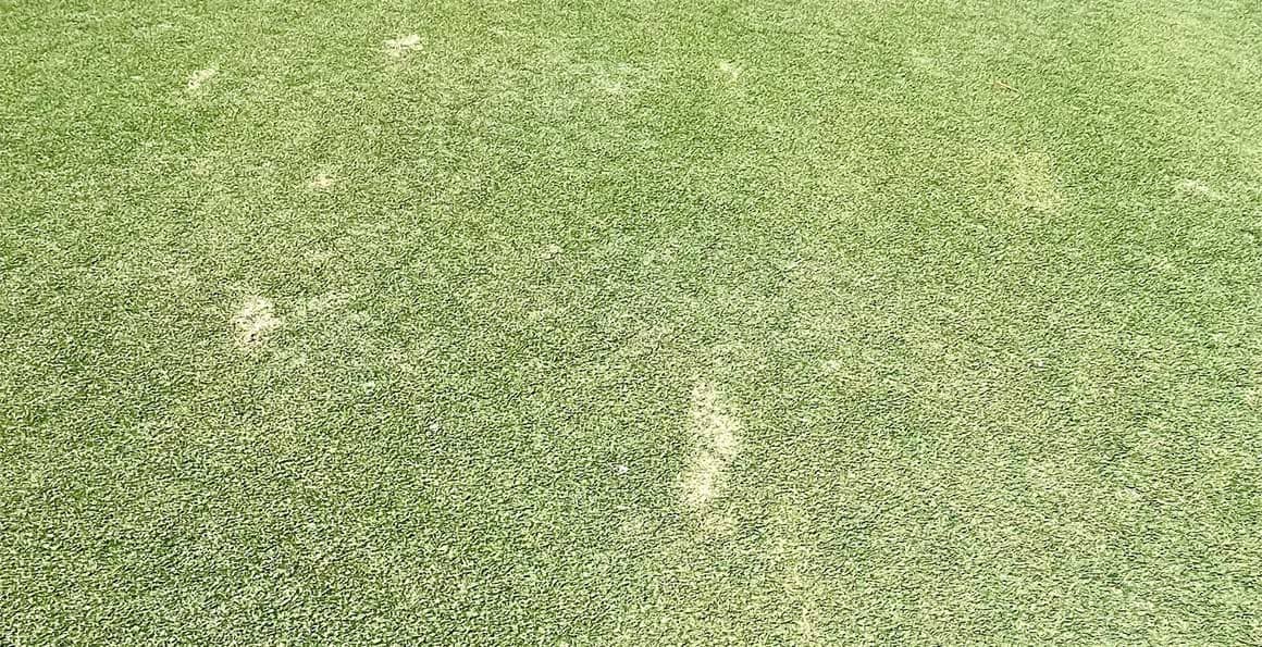 Troubleshooting Turfgrass Scalping: What Went Wrong?