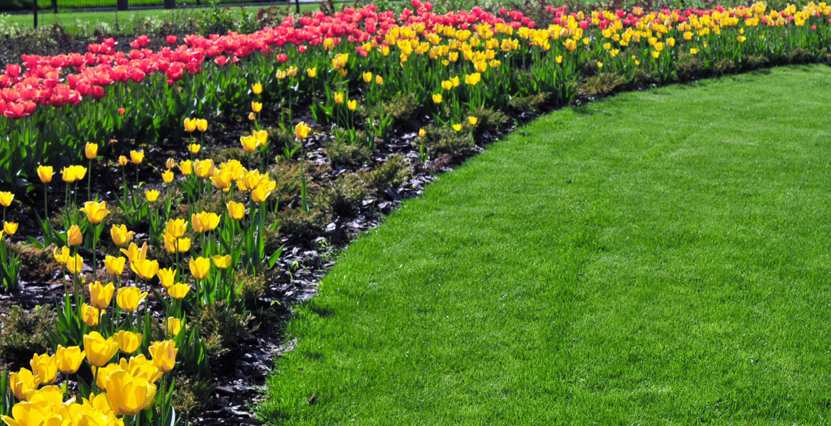 Annual Flower Bed Maintenance Program