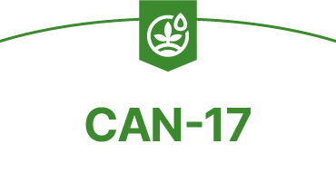 SGS_ProductCard_Can17-original