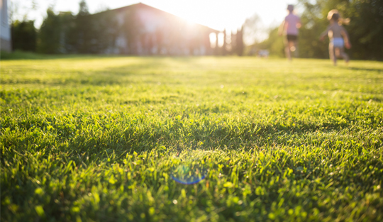 Resources | The J.R. Simplot Company