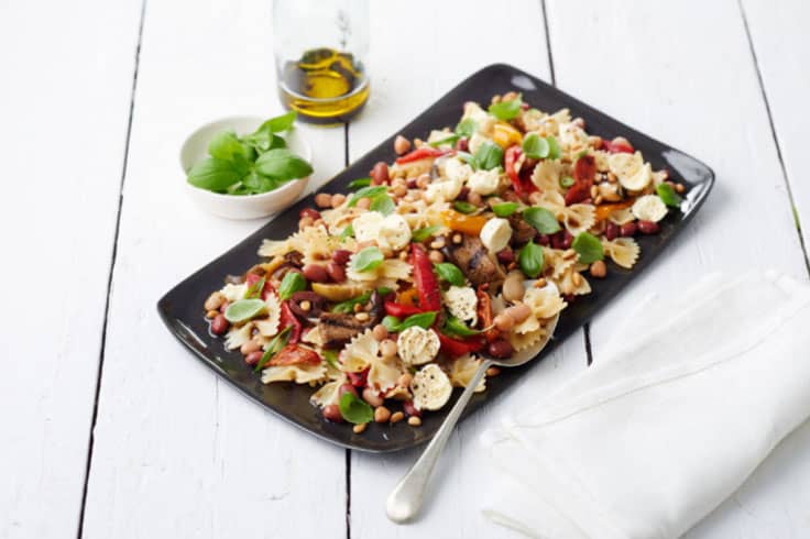 Simplot Brand Guidelines | The J.R. Simplot Company