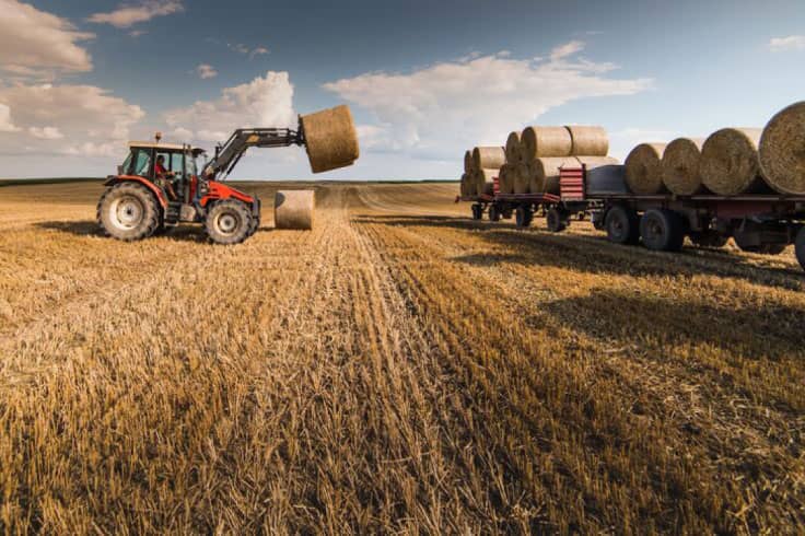 Simplot Brand Guidelines | The J.R. Simplot Company