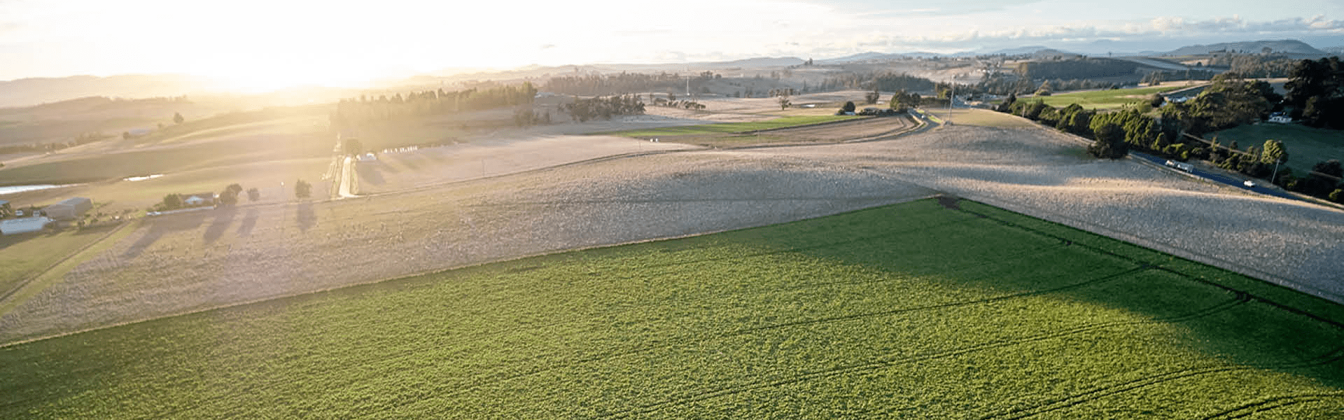 Simplot Australia Announces $100 Million Investment in New South Wales ...